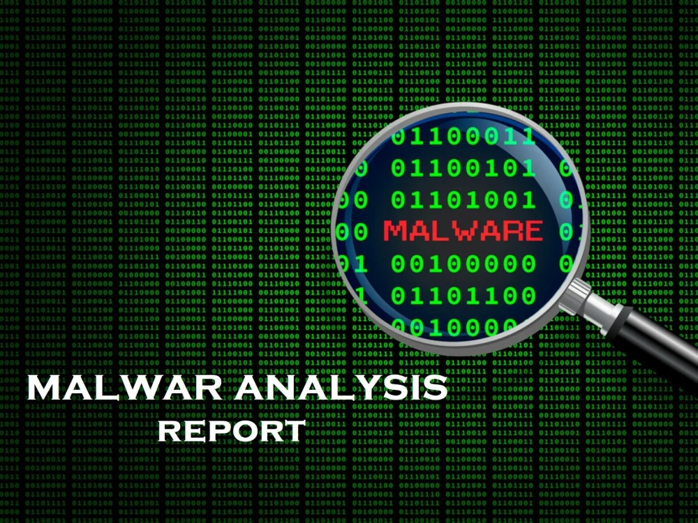 Report on malware analysis reverse engineering and network traffic ...