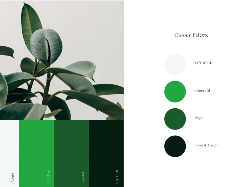 A Visual Brand Profile with logo, typography, color palette and layout ...