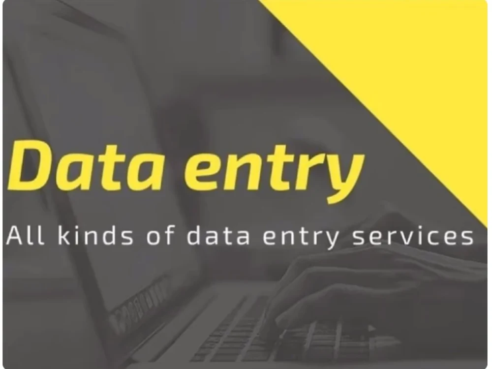 100% ACCURATE Data Entry, Manual Typing, PDF/IMAGE to Excel/Word ...