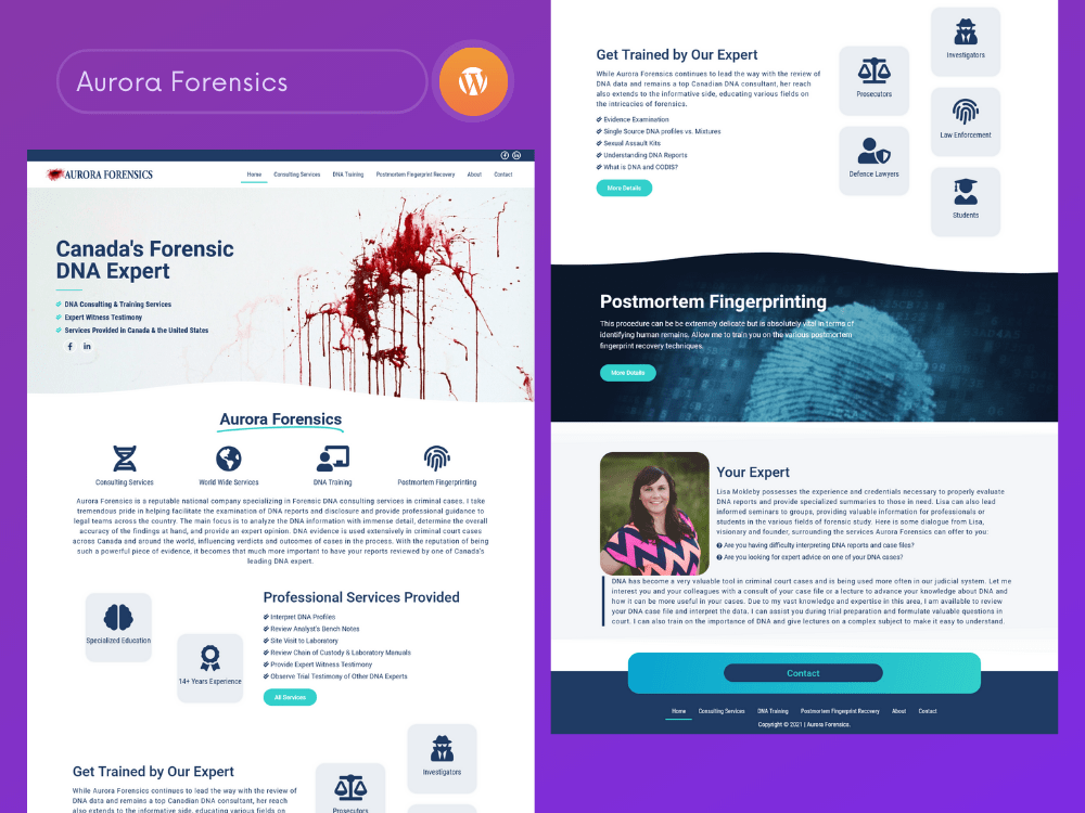 A Modern & Responsive WordPress Website | Upwork
