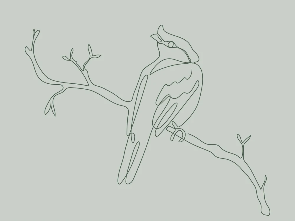 Draw illustration anything pictures into minimalist one line art | Upwork