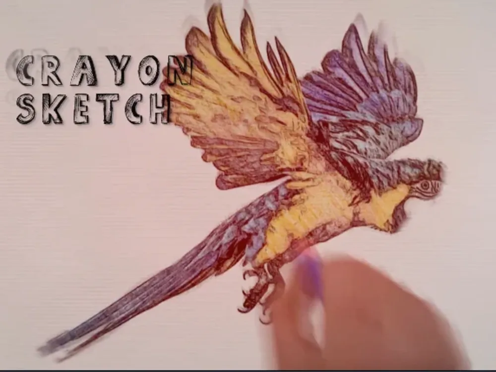 A professional and eye-catching Sketch Animation Video | Upwork