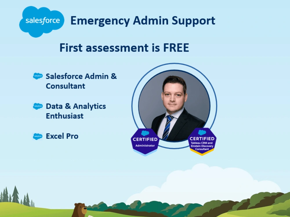 One hour of Emergency Salesforce Admin Support | Upwork