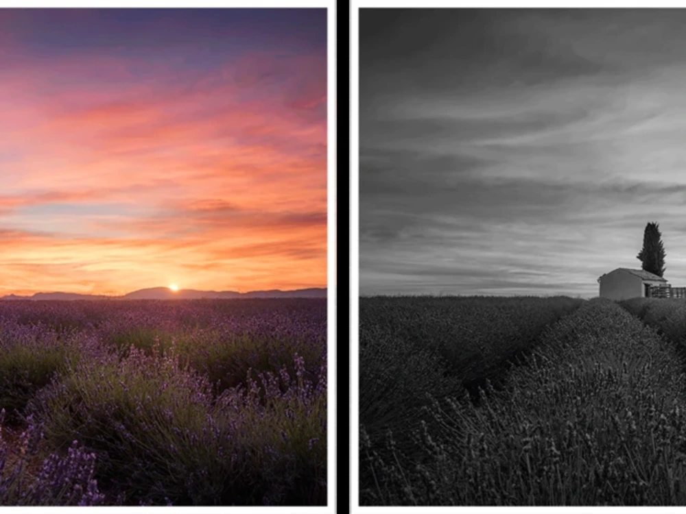 Realistic colorization of black and white photo | Upwork