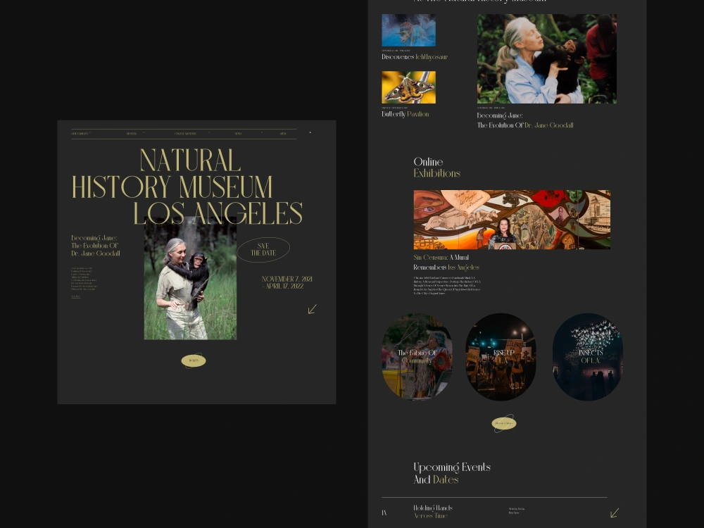 Memorable Website Landing Page UI UX design in Figma | Website Development | Upwork