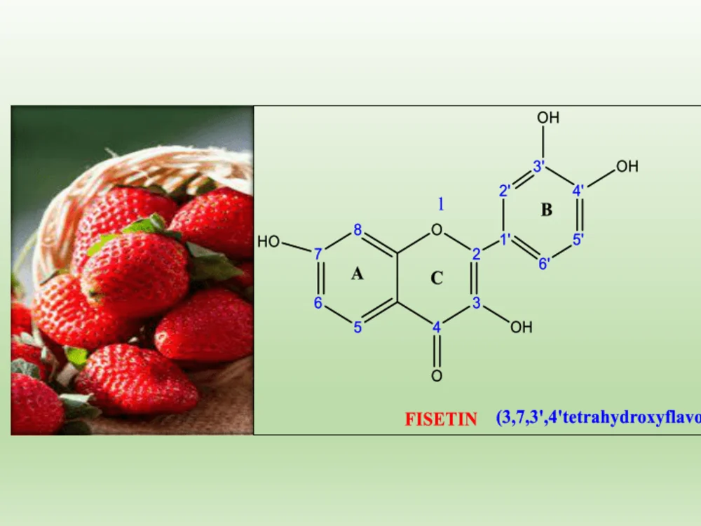 Eye catching graphical abstracts & chemistry/biology structural ...