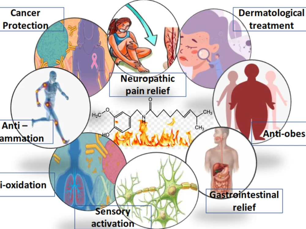 Eye catching graphical abstracts & chemistry/biology structural ...