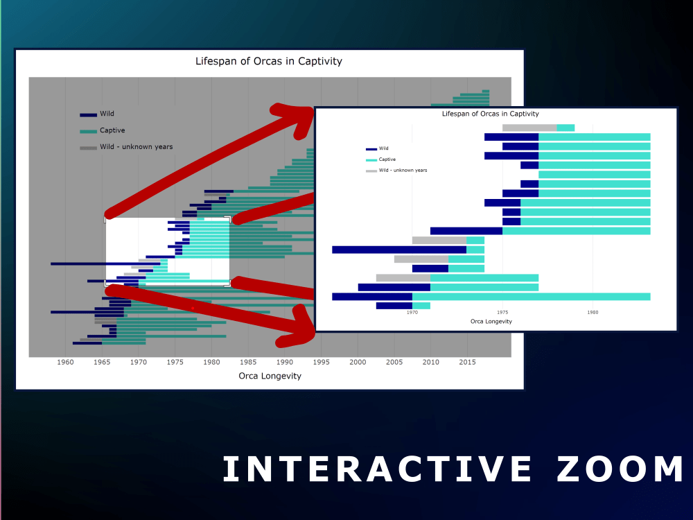 An interactive or animated graph, plot, or map made in R | Upwork