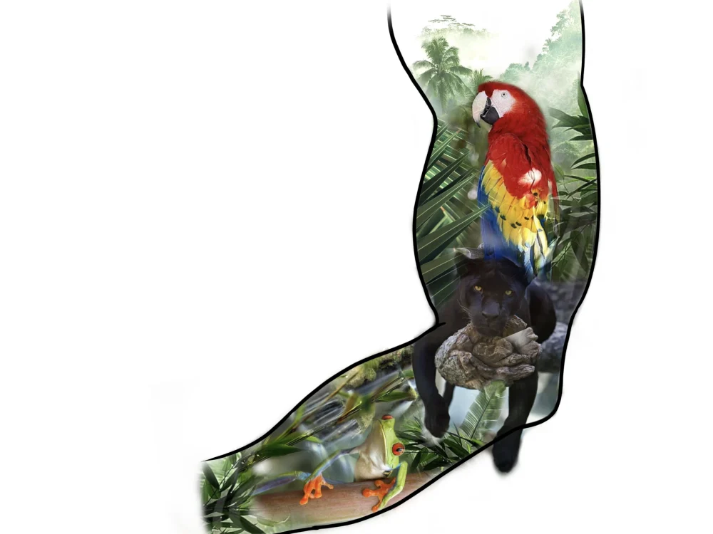 A fully designed custom tattoo sleeve to suit you | Upwork