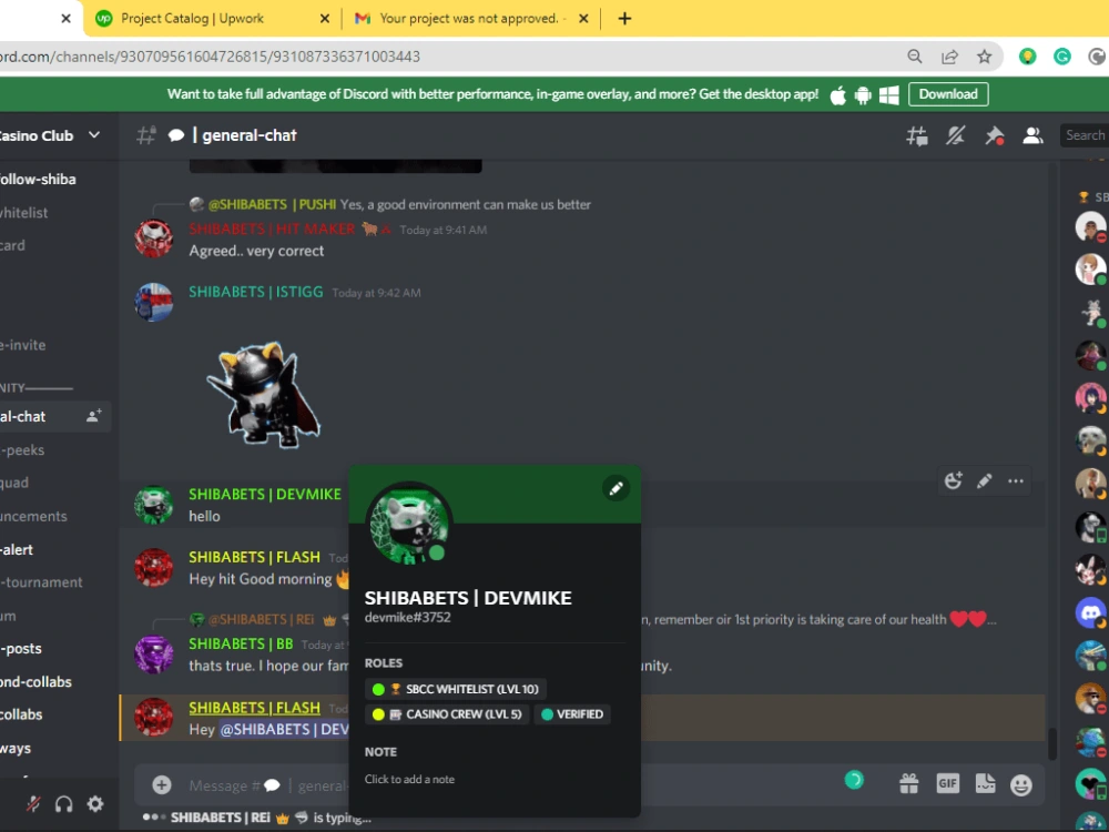 Manually Chat in your discord to get Whitelist, leveling up | Upwork