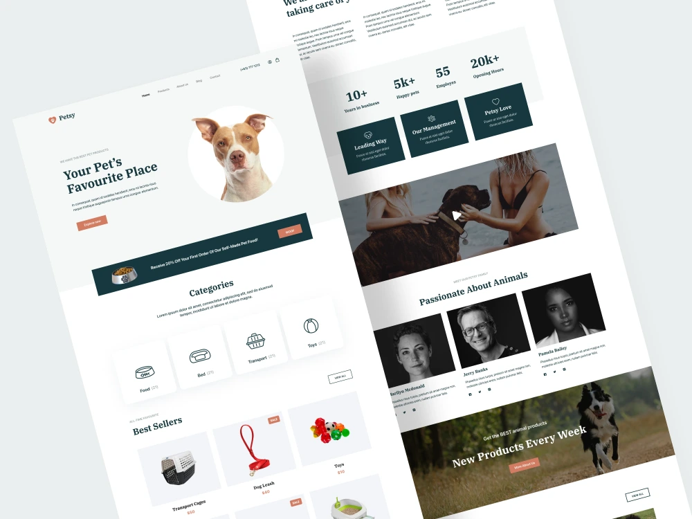An astonishing High-Quality Website Template for Your Project | Upwork