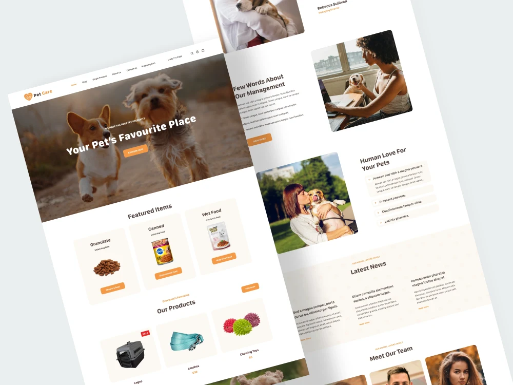 An astonishing High-Quality Website Template for Your Project | Upwork