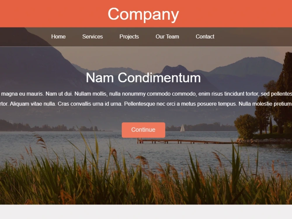 Professional, custom and responsive website (HTML/CSS/JS/JQUERY ...