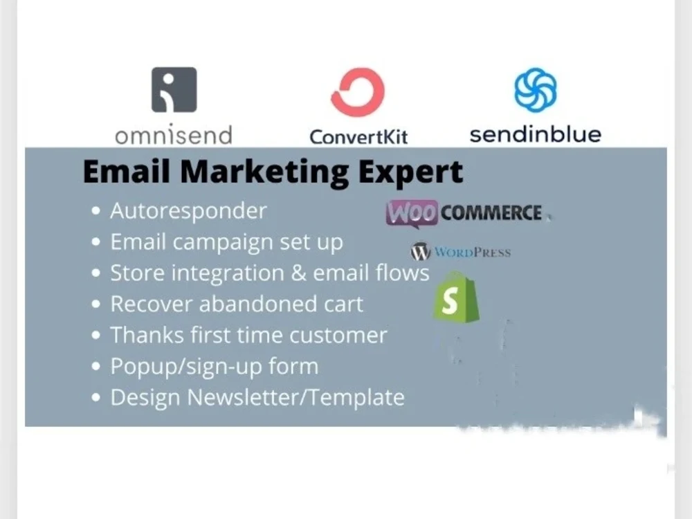 Omnisend, Convertkit, Sendinblue, Brevo email marketing automation expert | Upwork