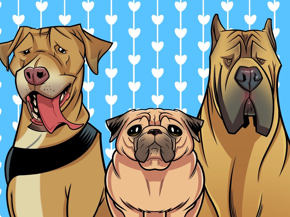 Pet Portraits & Pet Illustrations for Dogs & Cats | Upwork