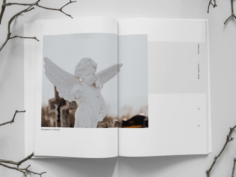 The layout of books and magazines for further printing / creating an e ...