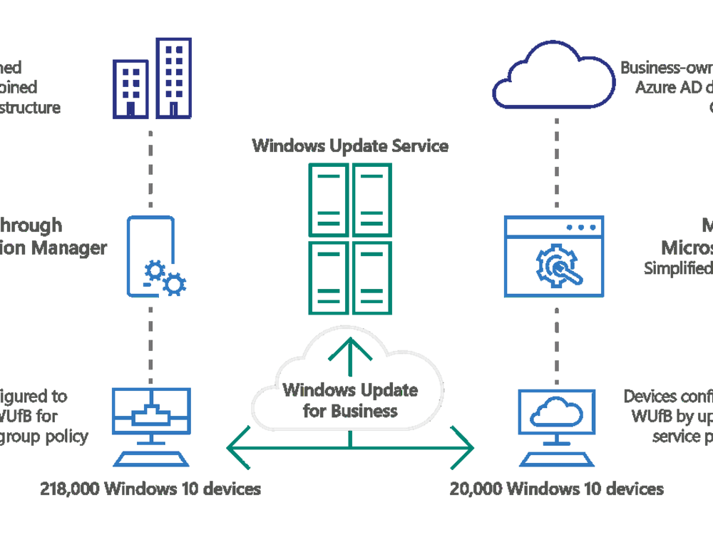 A solid plan for your organization devices upgrade to Windows 11 | Upwork