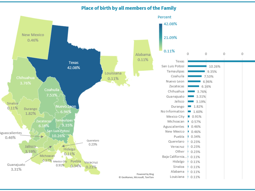 Awesome looking dashboard in Excel with graphs, formulas and pivot tables | Upwork