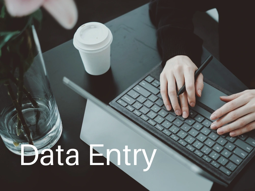 A virtual assistant for data entry, web research, copy paste | Upwork