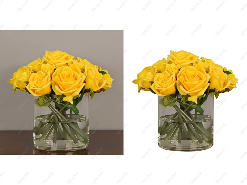 Perfect background removal, background transparent up to 10 photos | Upwork