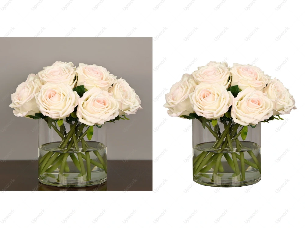 Perfect background removal, background transparent up to 10 photos | Upwork