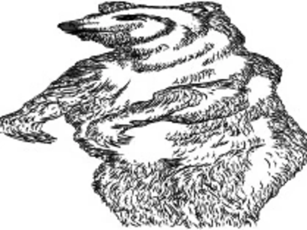 Amazon coloring book page for children | Upwork