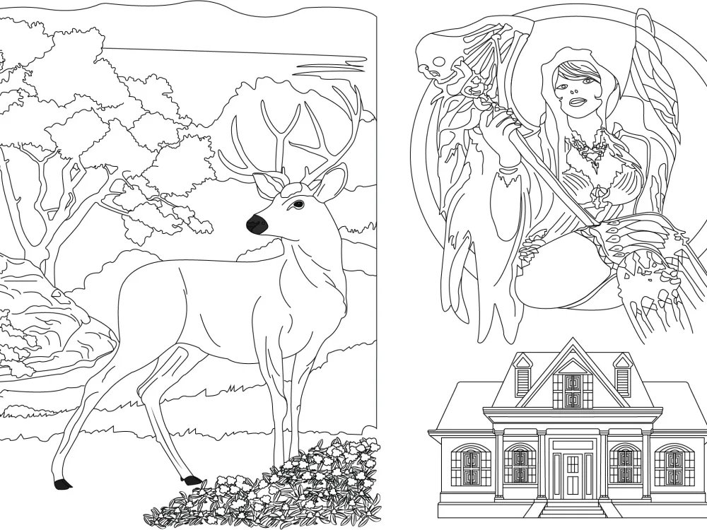 Amazon coloring book page for children | Upwork