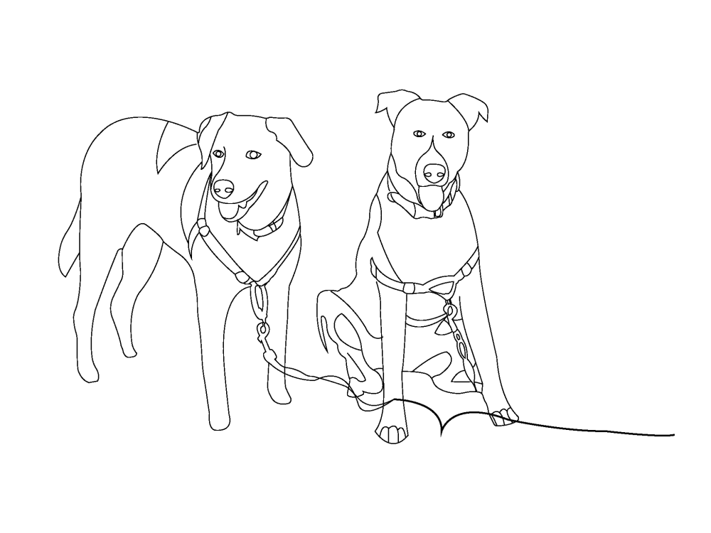 An outline line art picture from your image | Upwork