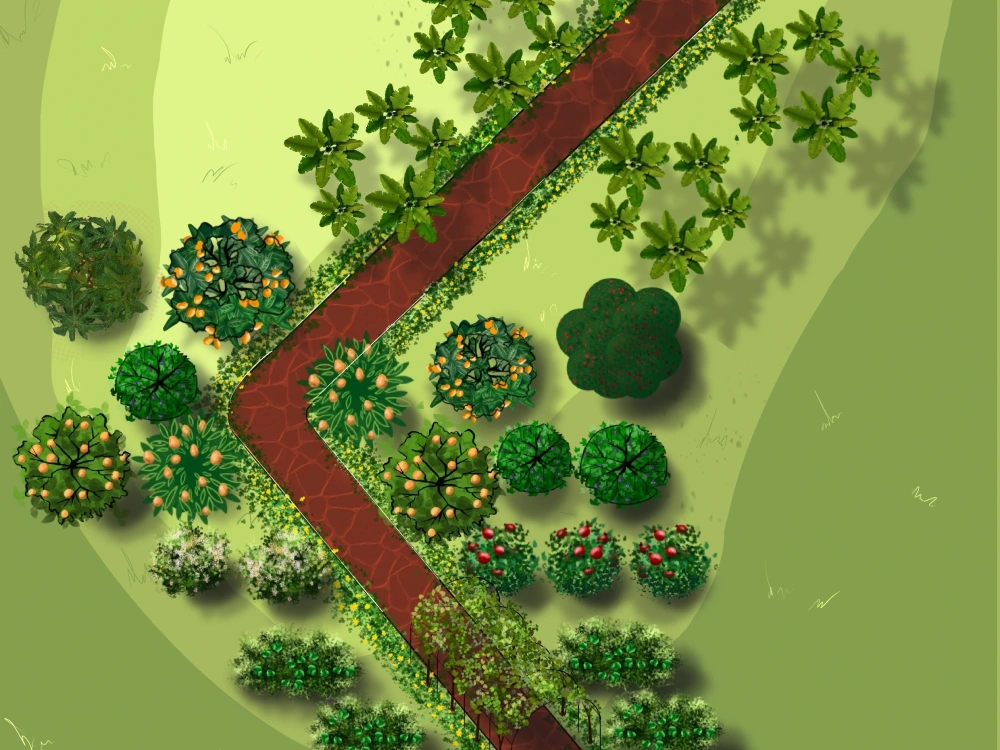 2D rendering of landscape design architectural site plan or map | Upwork