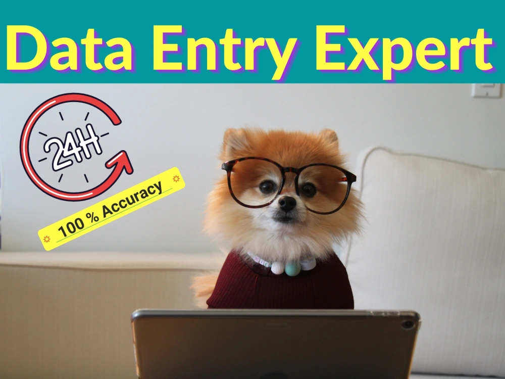 Accurate data entry & Fast data entry Services with 100% Accuracy | Upwork