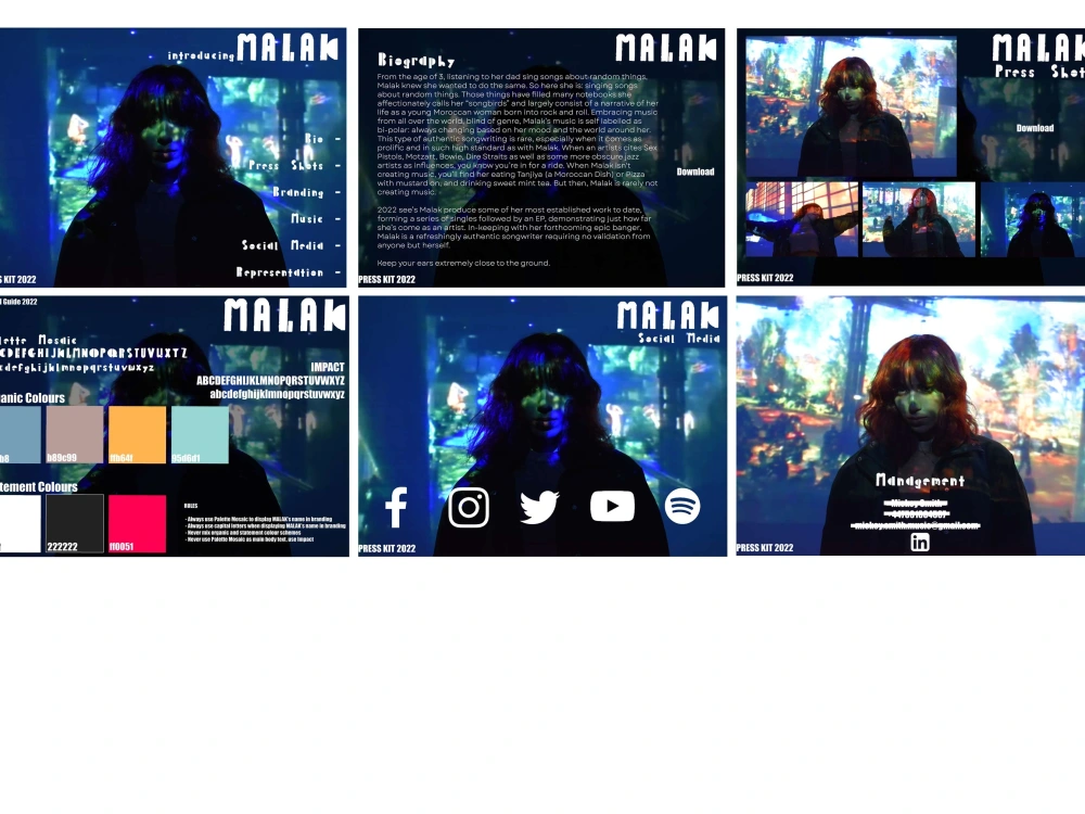 A professional EPK (Electronic Press Kit) for your band or artist | Upwork