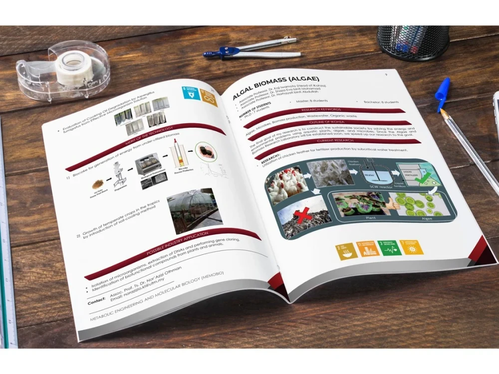 Professional Annual Report, Catalog, or Booklet Design – for Press or ...