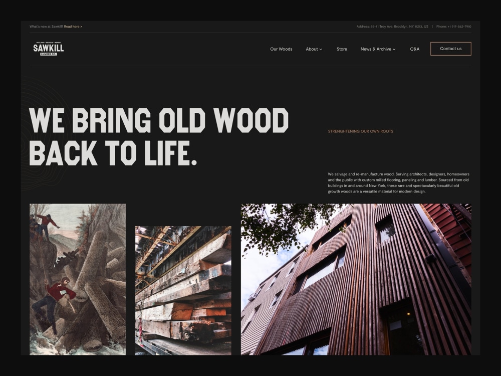 Professional and modern website design. | Upwork