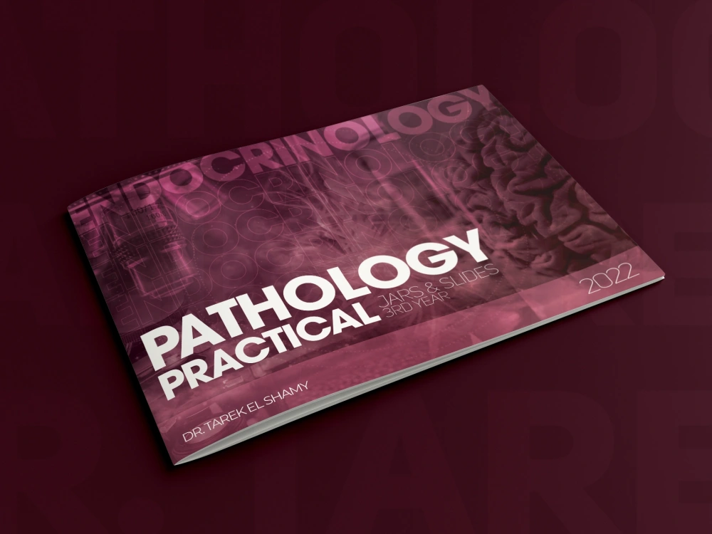 A professional book cover | Upwork