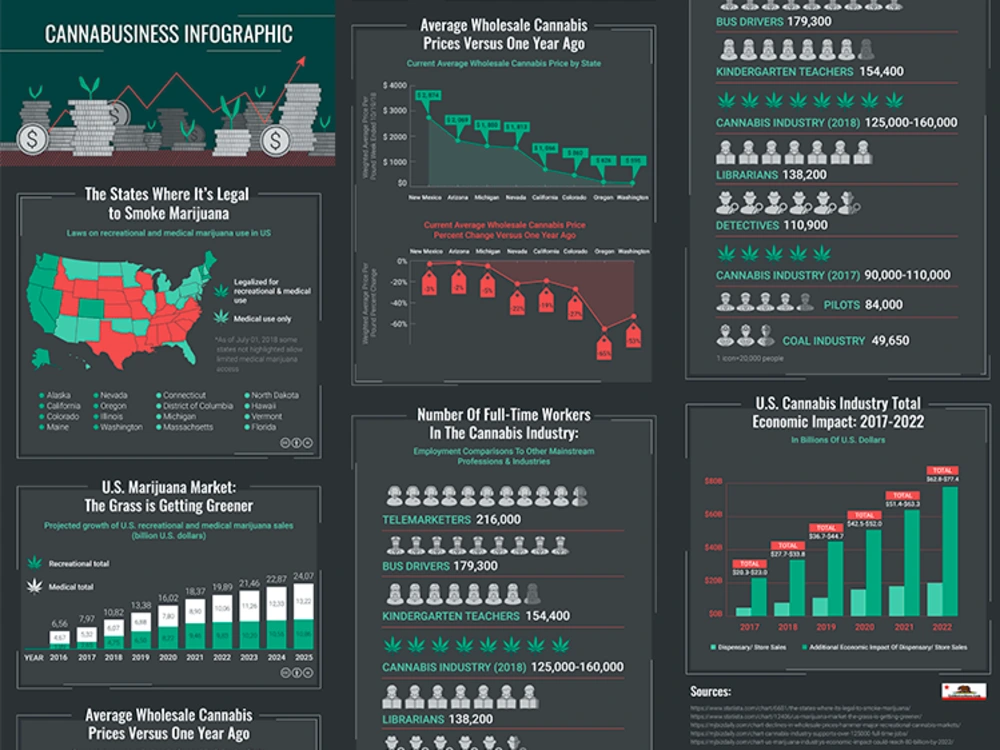 A Creative Statistical Infographic in a custom style! | Upwork