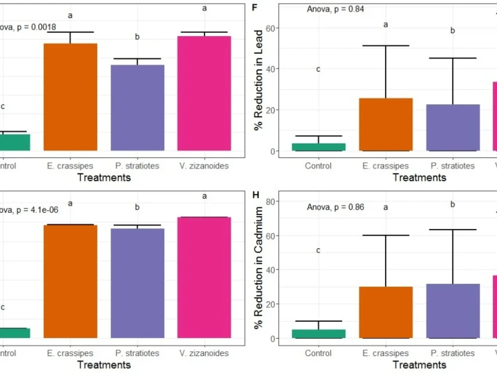 Irresistible publication-ready plots using R | Upwork