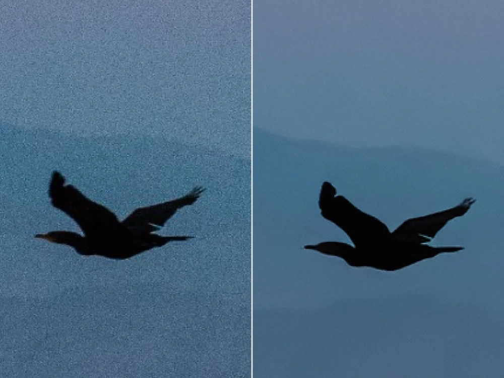 Noise reduction, grain removal, upscaled and enhanced photos | Upwork