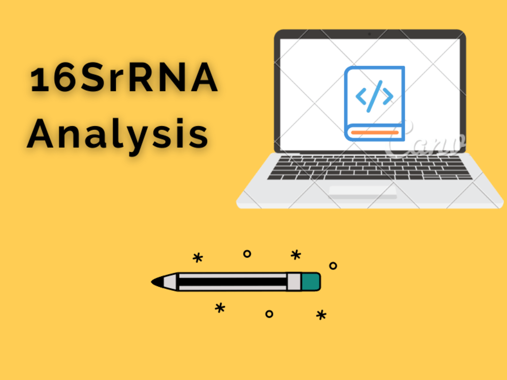A 16SrRNA bioinformatic data analysis | Upwork
