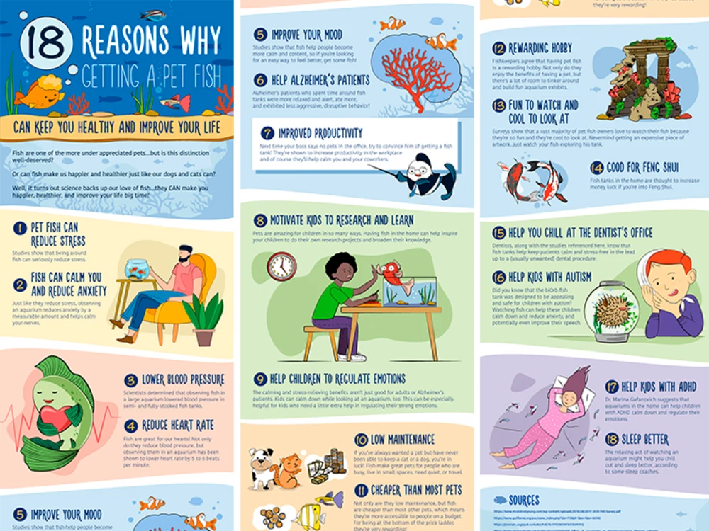 An Engaging List-Based infographic! | Upwork