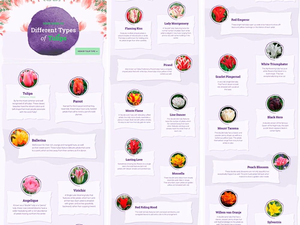 An Engaging List-Based infographic! | Upwork
