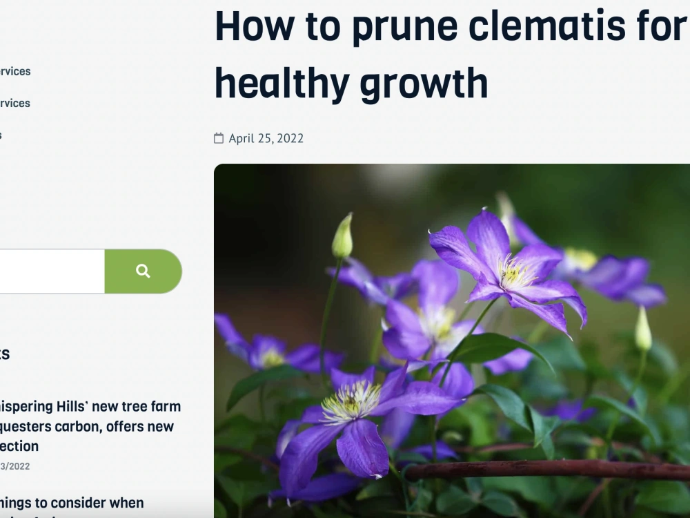 500 Word Blog Post | Upwork