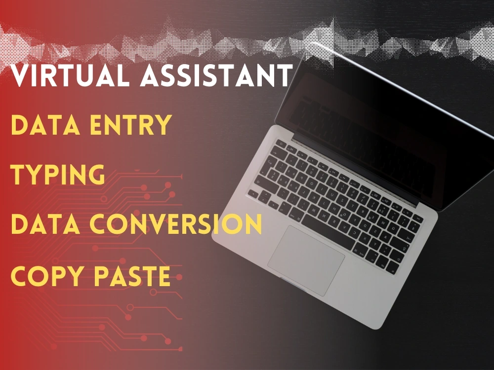 Professional virtual assistant for data entry | Upwork