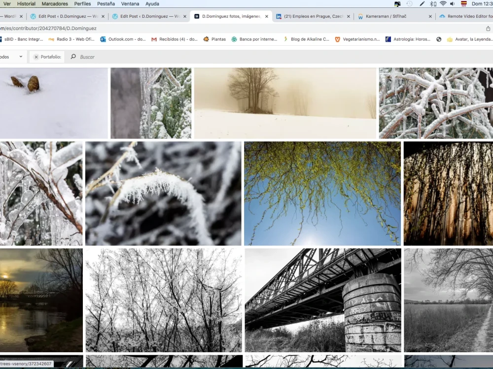 The perfect color for your pictures | Upwork