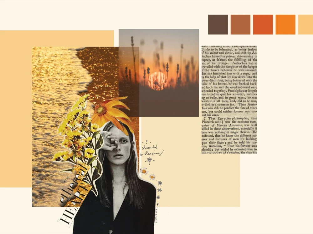 Fit and amazing moodboards for your theme | Upwork