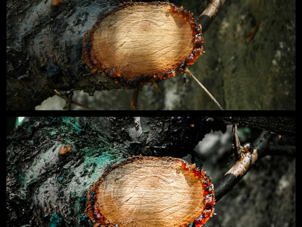 The professional photoshopped images for you | Upwork