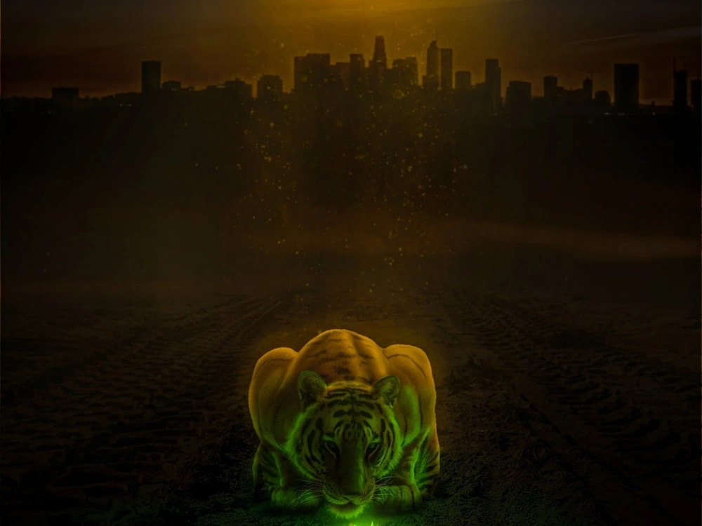 An amazing photoshop work from me. | Upwork