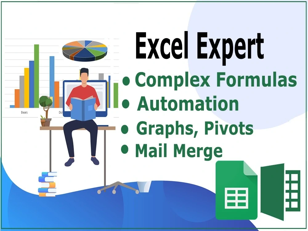 A professional excel sheet with advanced formulas,pivot table ...