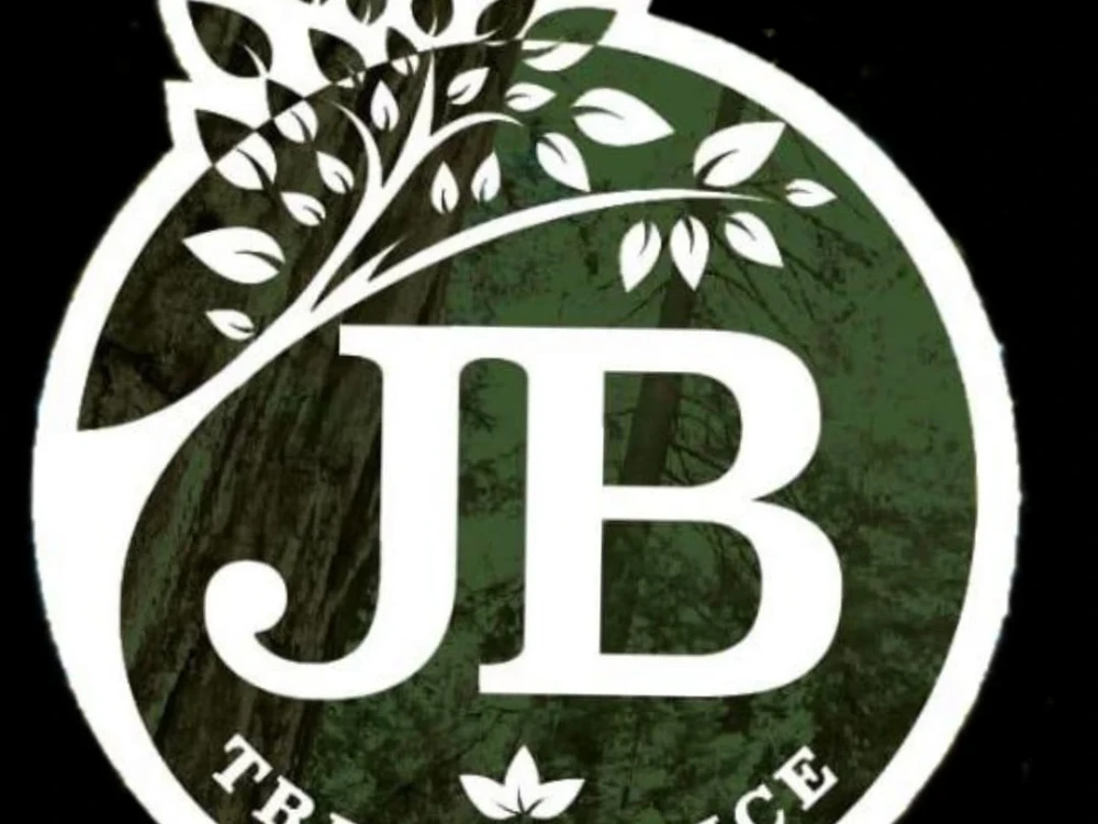 A spectacular custom logo for your business. | Upwork