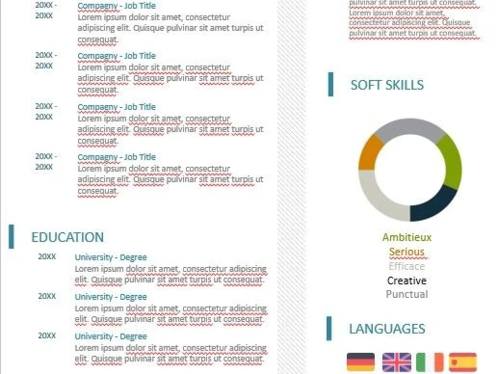 Proficient Resume Writing and CV Writing and introductory letter ...