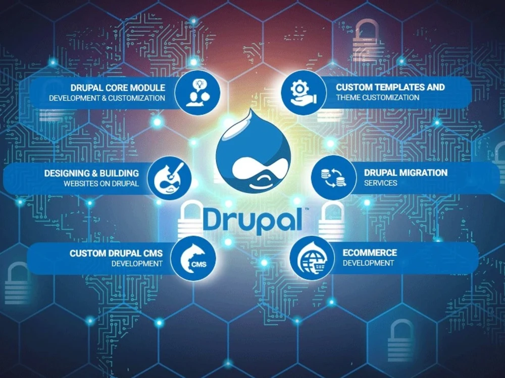 A Drupal, WordPress responsive theme | Upwork